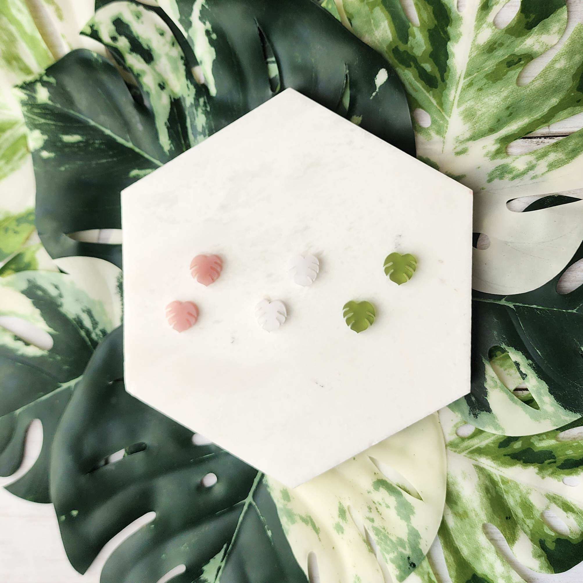Mini Monstera Studs – Complementary