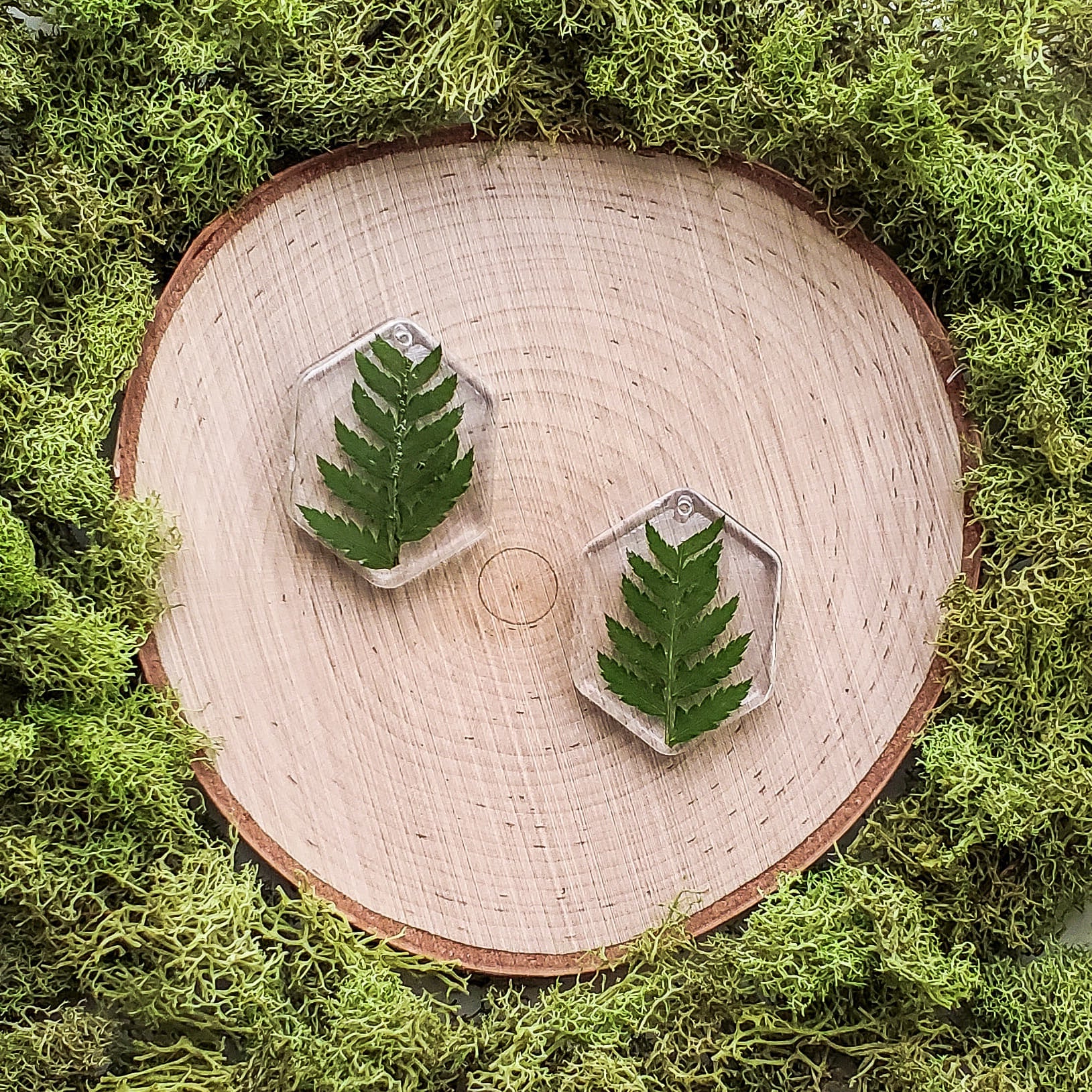 Spruce Body Hexagon Dangles – Complementary